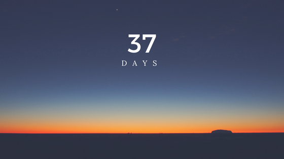 37 Days – Amy Alexander
